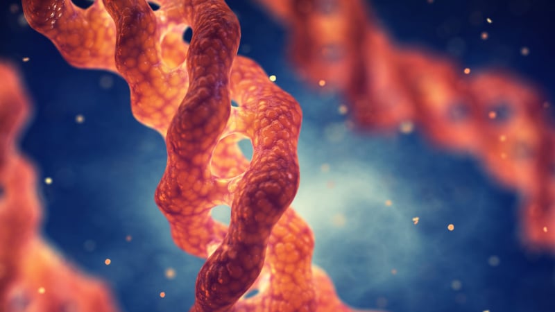 Cell & Gene Therapy Development Manufacturing (CDMO) | AGC Biologics